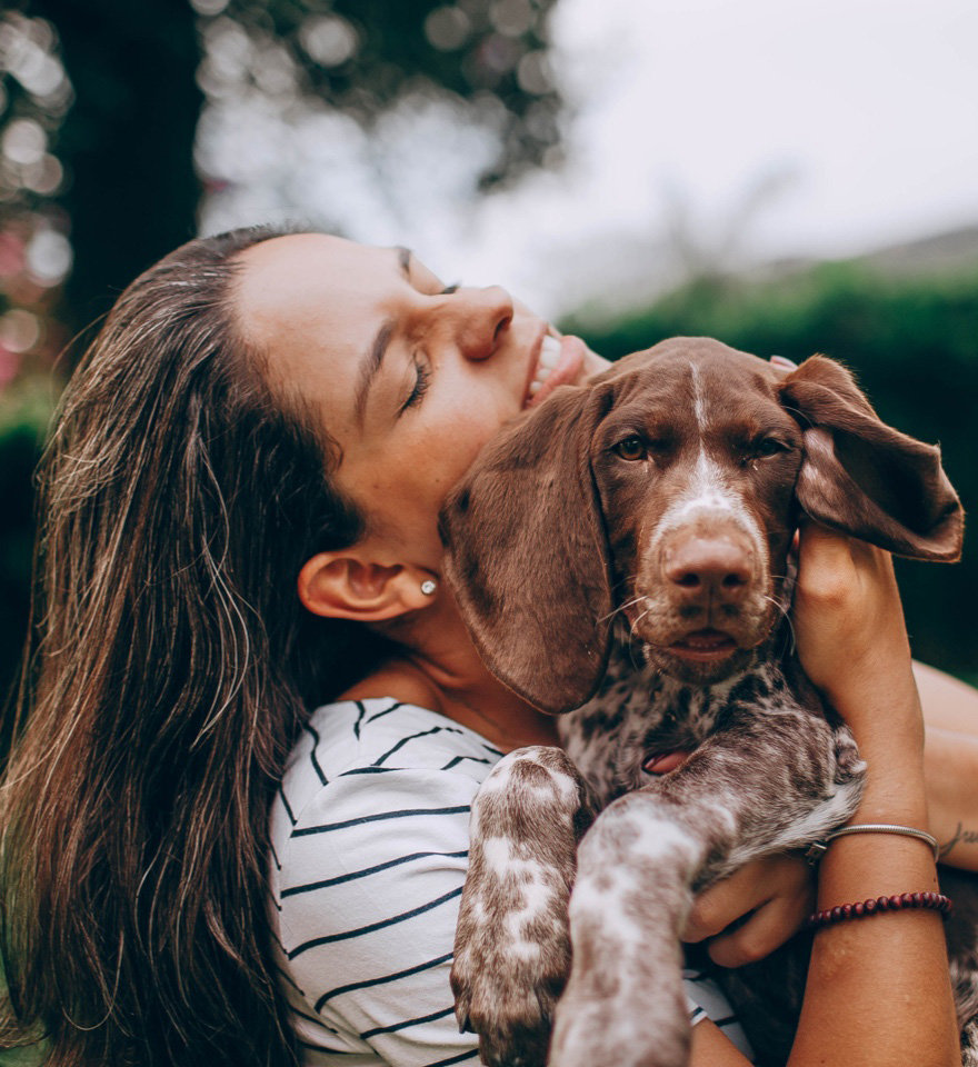 Welcome to Masterpet